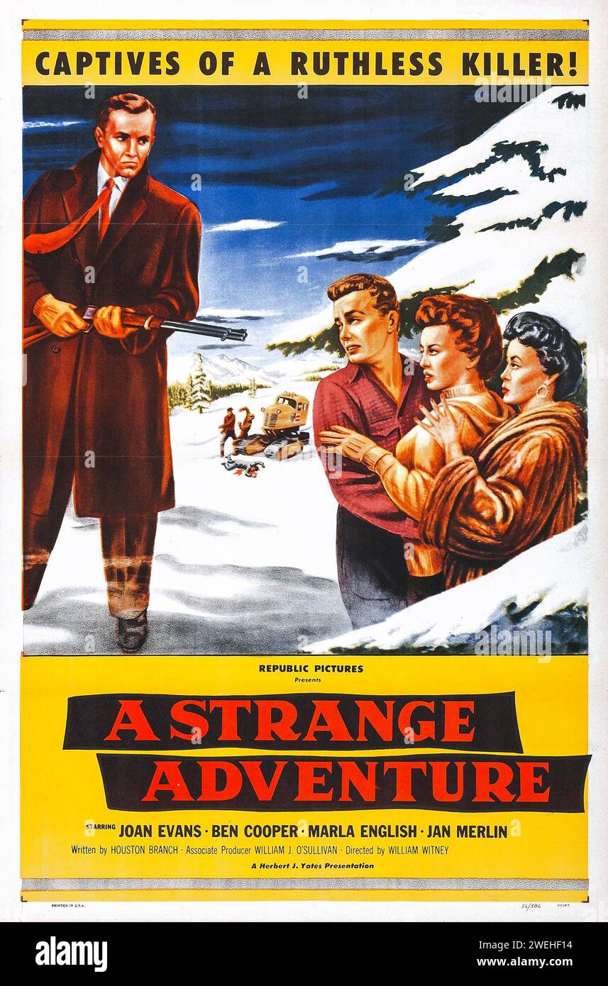 1950s Film Poster A Strange Adventure Republic 1956 Joan Evans
