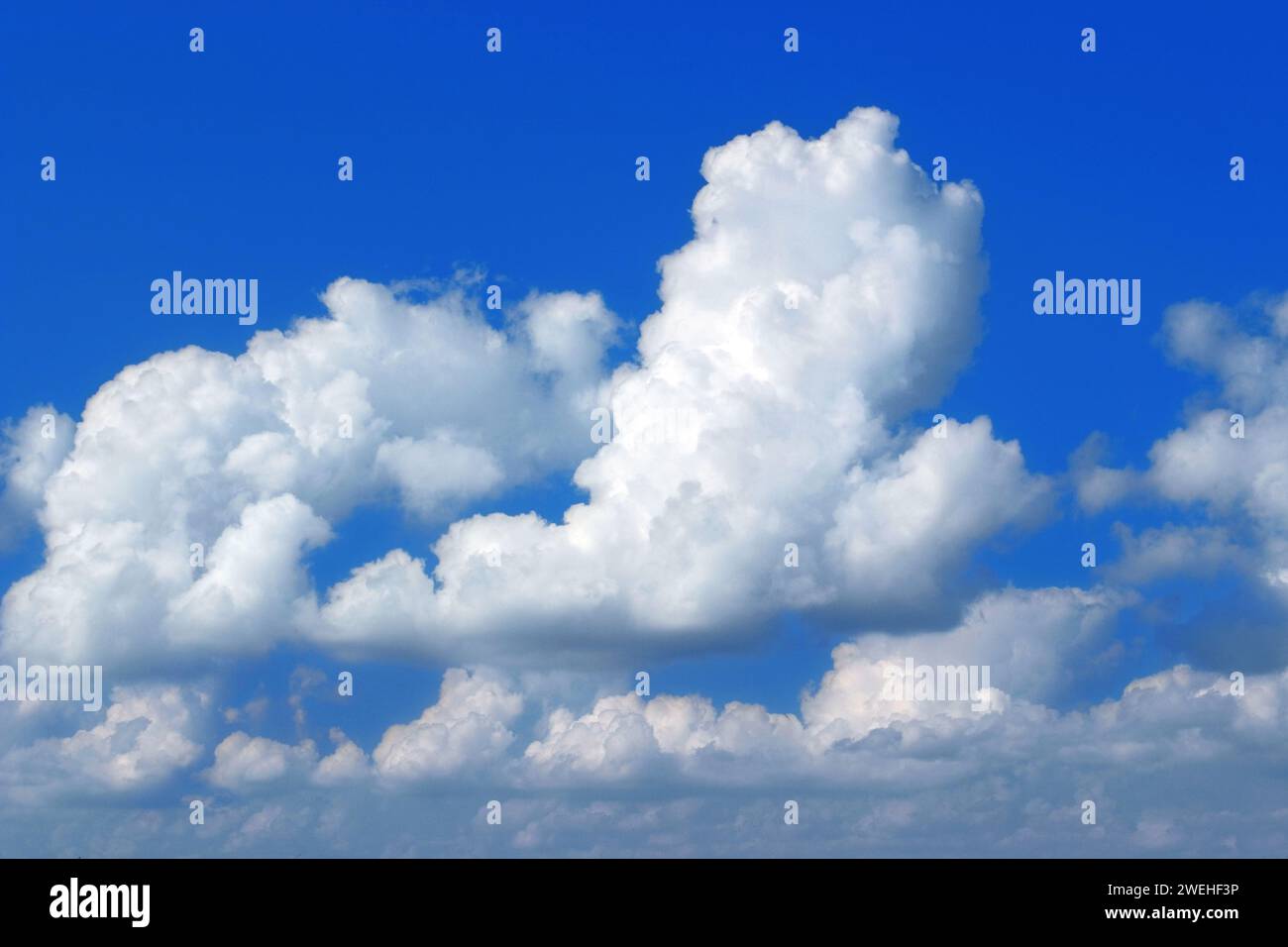 large white fair weather clouds, Cumulus humilis, in the blue sky Stock ...