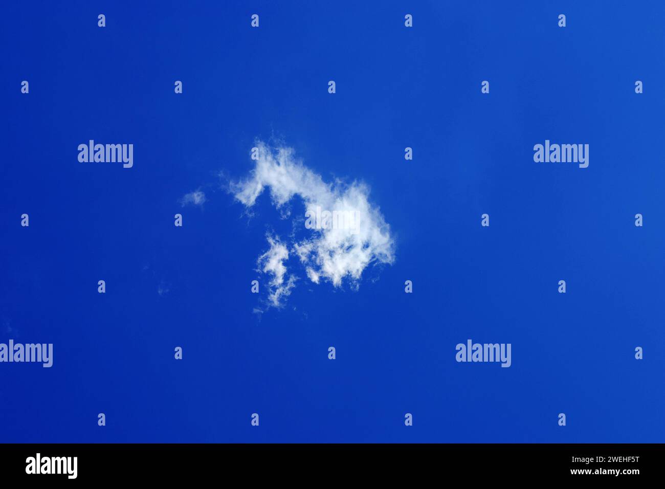 a single young small fluffy white fair weather cloud, Cumulus humilis ...