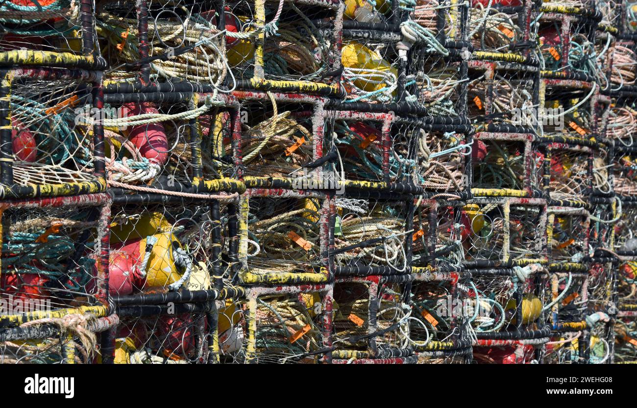 Long row of lobster and crab pots are stacked and ready to go. Each has ...