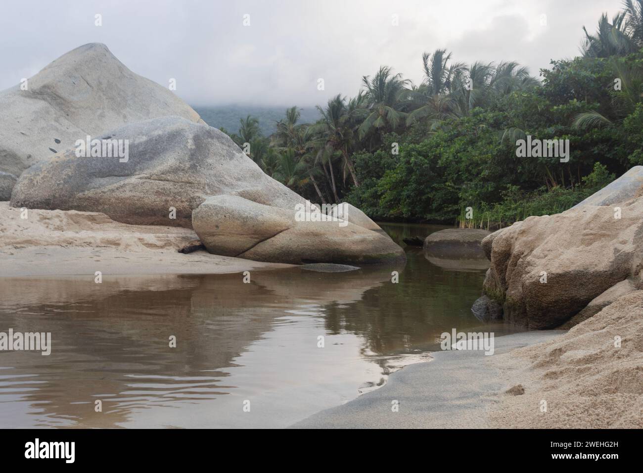 mangrove swamp and big rocks with a tropical river in middle of Tayrona ...