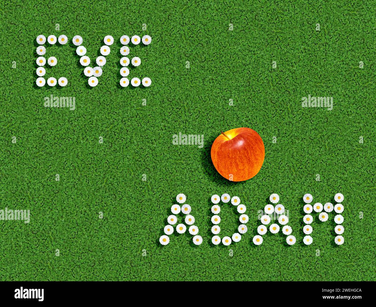 The names Adam and Eve written with daisies on a clover field and an ...