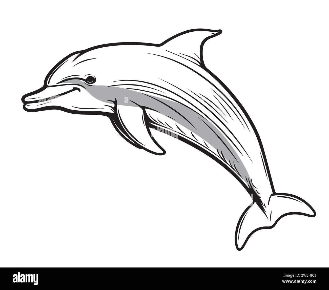 Dolphin hand drawn sketch Vector illustration Stock Vector Image & Art ...