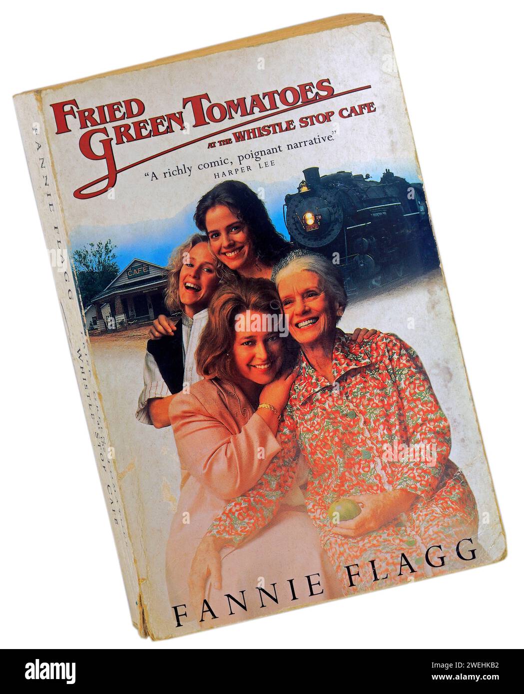 Fried Green Tomatoes At The Whistle Stop Cafe by Fannie Flagg ...