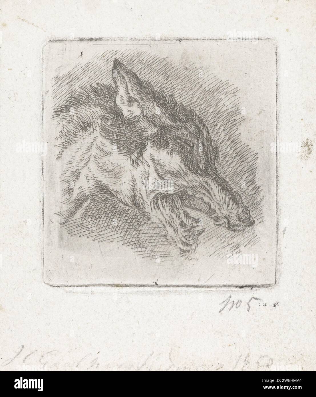 Wolf head etching hi-res stock photography and images - Alamy