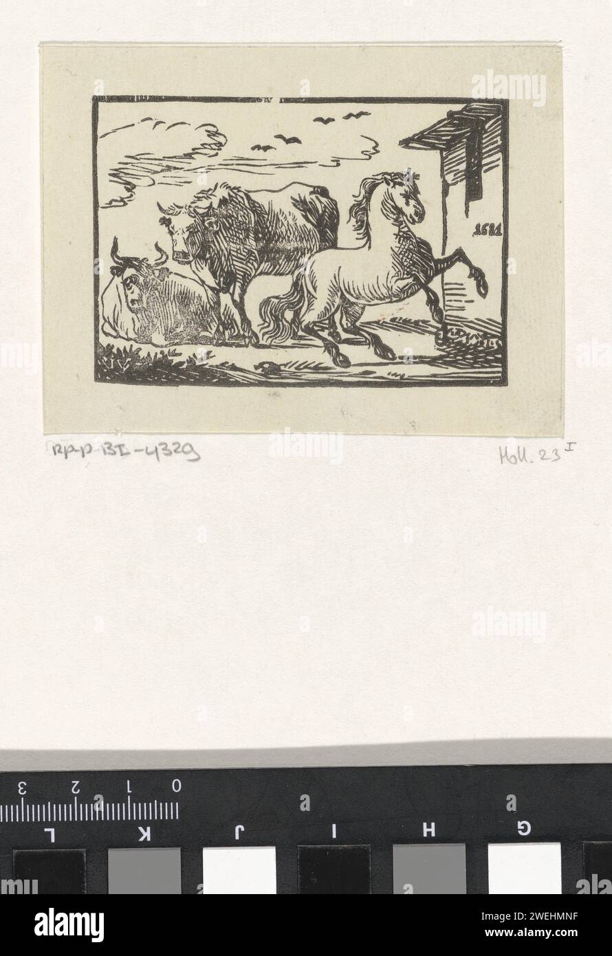 Two cows and a prancing horse, Isaac Vincentsz. van der Vinne, 1681 ...