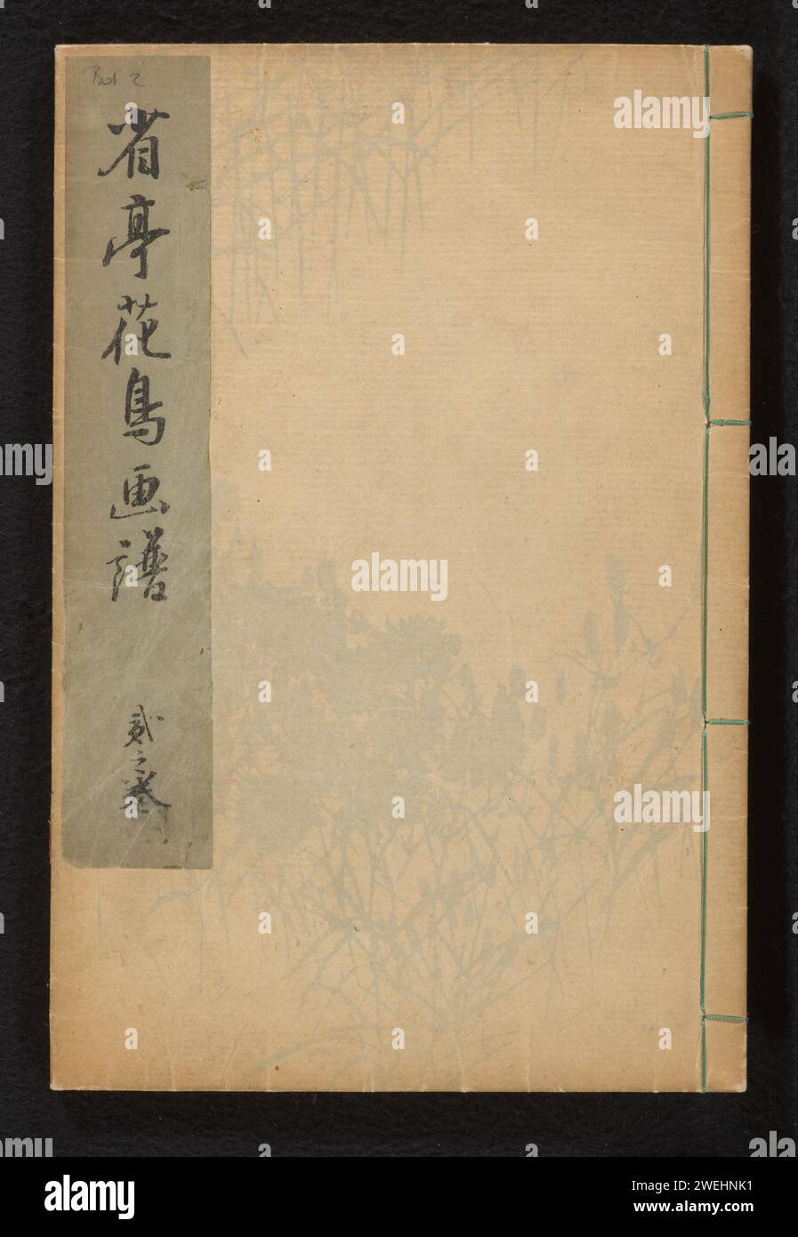 Sketches of flowers and birds from Seitei - part two, 1890 book Part ...