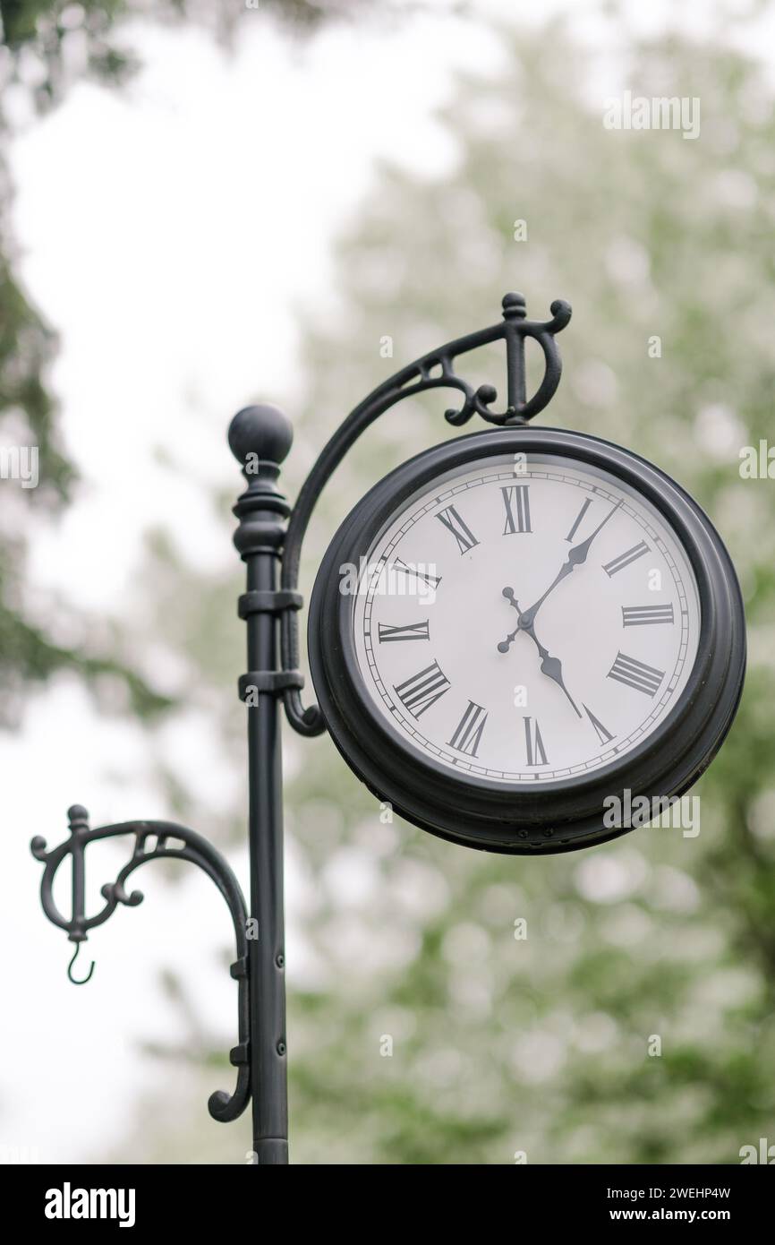A vertical shot of a vintage old street clock near lush trees in a park ...