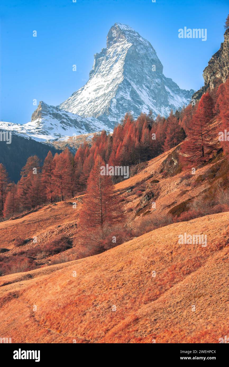 Alpine valley in autumnal colour with the famous Matterhorn peak in the ...