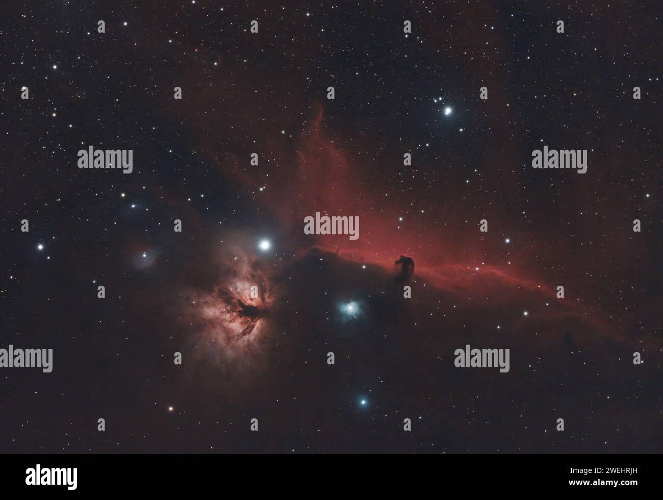 An image of the Horse Head Nebula and Flame Nebula through my Orion ED80T CF, with Canon 700D ...