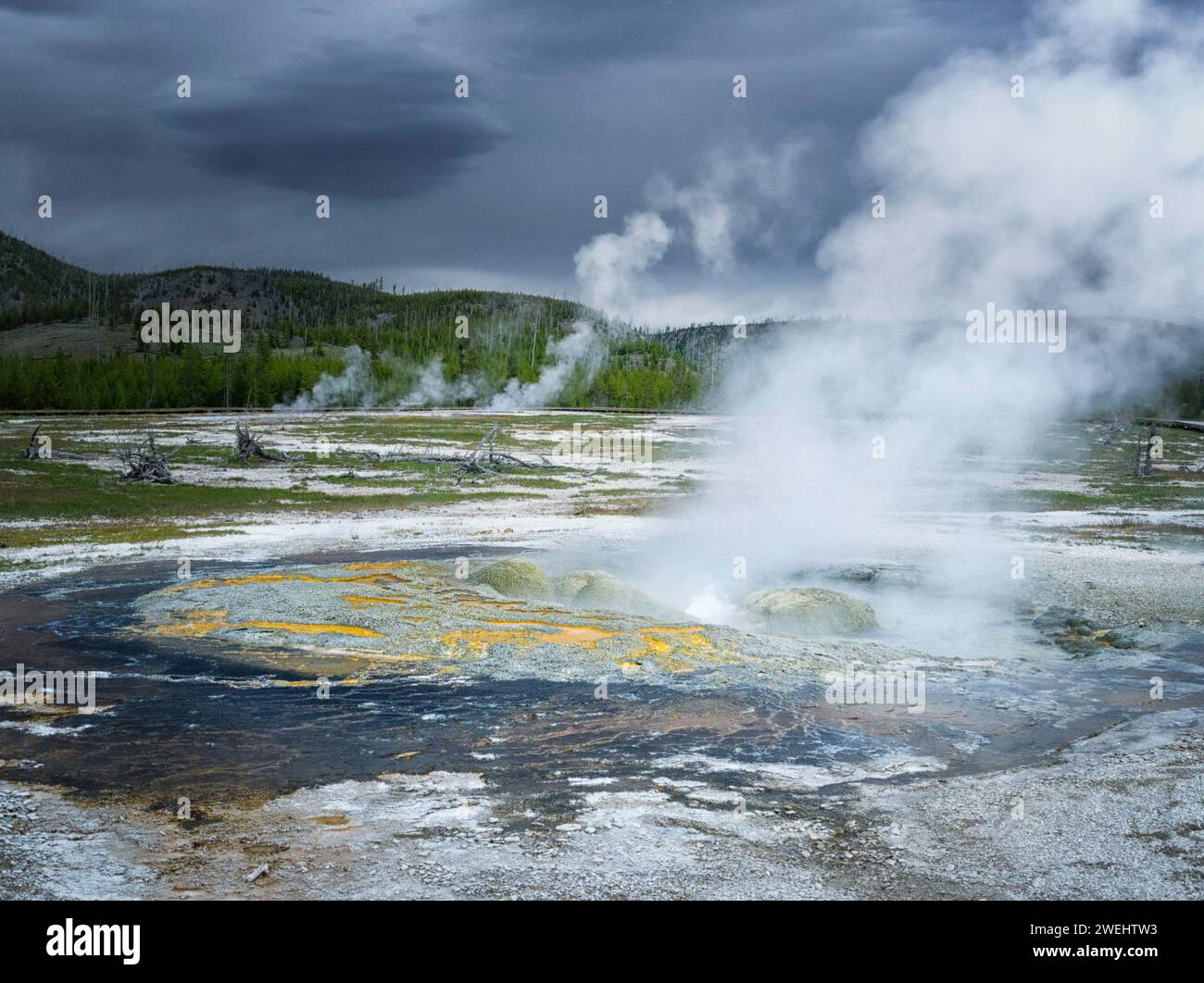 Jewel park hi-res stock photography and images - Alamy
