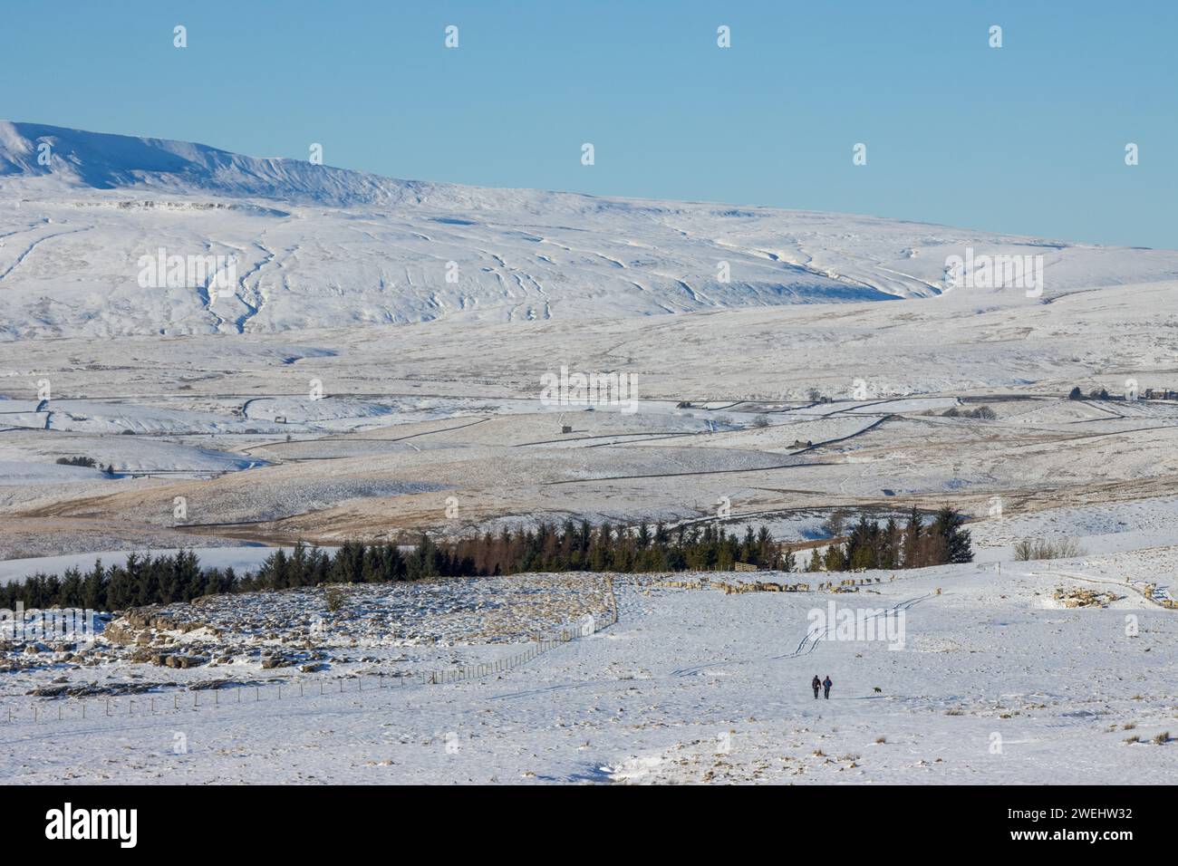 Two hikers in the distance walking towards Whernside in the Yorkshire ...