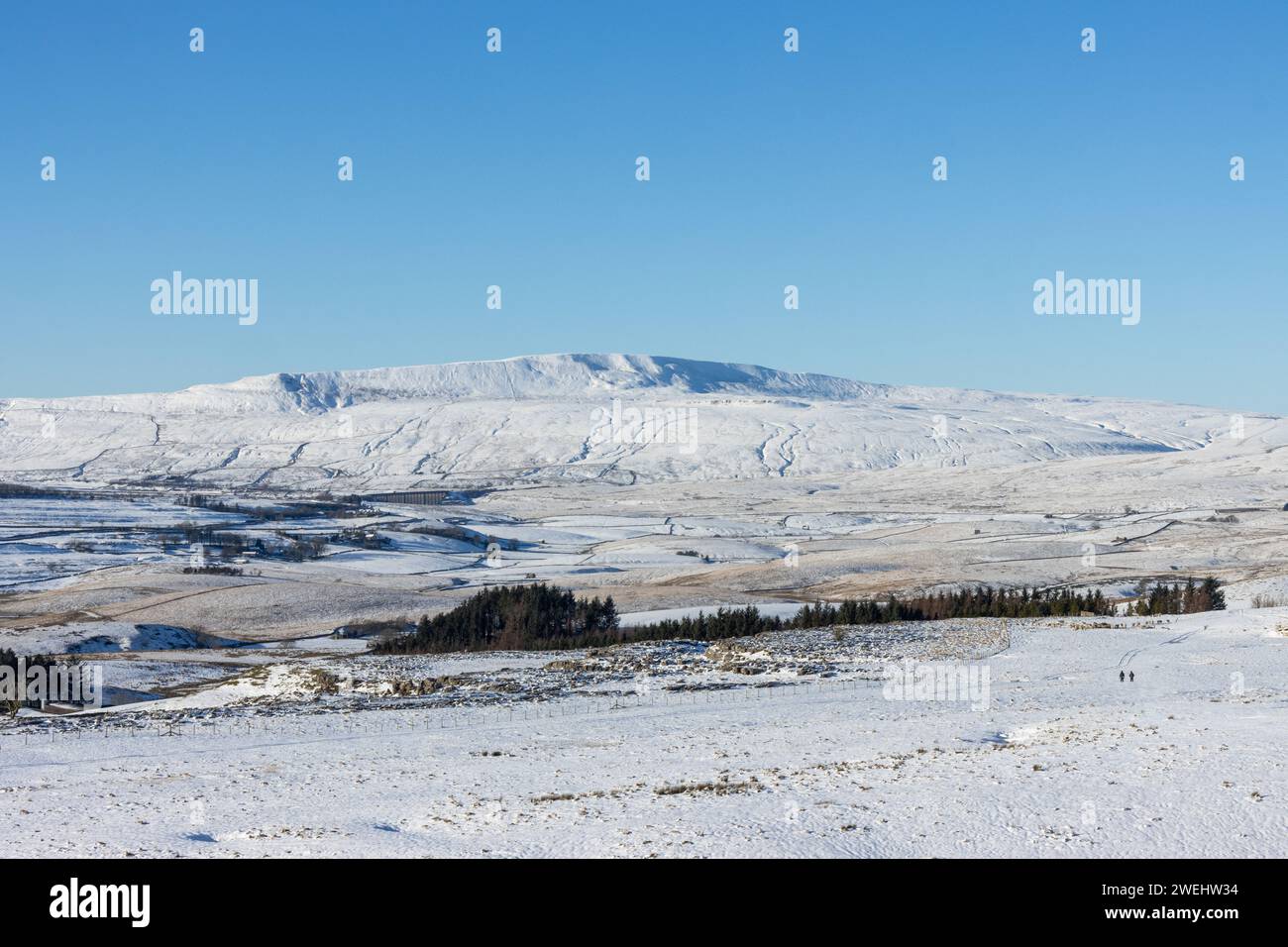 Two hikers in the distance walking towards Whernside in the Yorkshire ...