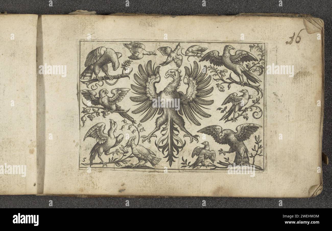 Bird of prey and eleven other birds, 1596 - 1622 print A bird of prey ...