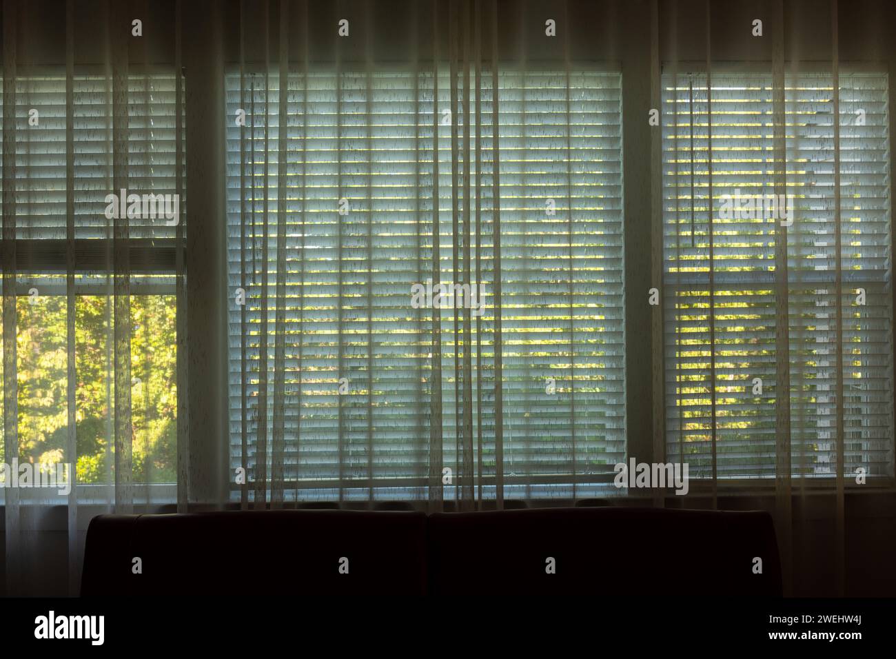 Looking outside through curtains and window blinds. Element of design ...