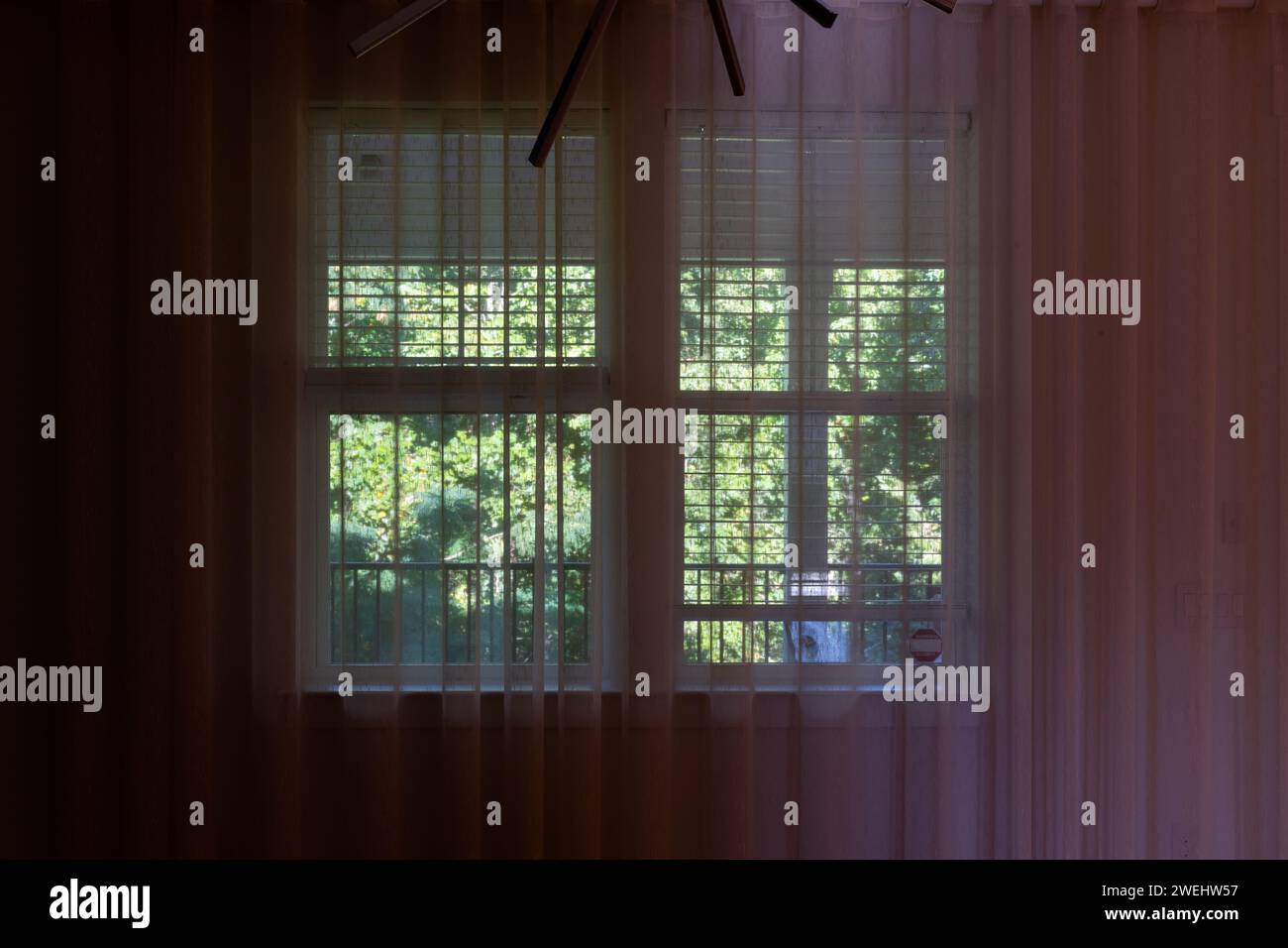 Looking outside through curtains and window blinds. Element of design ...