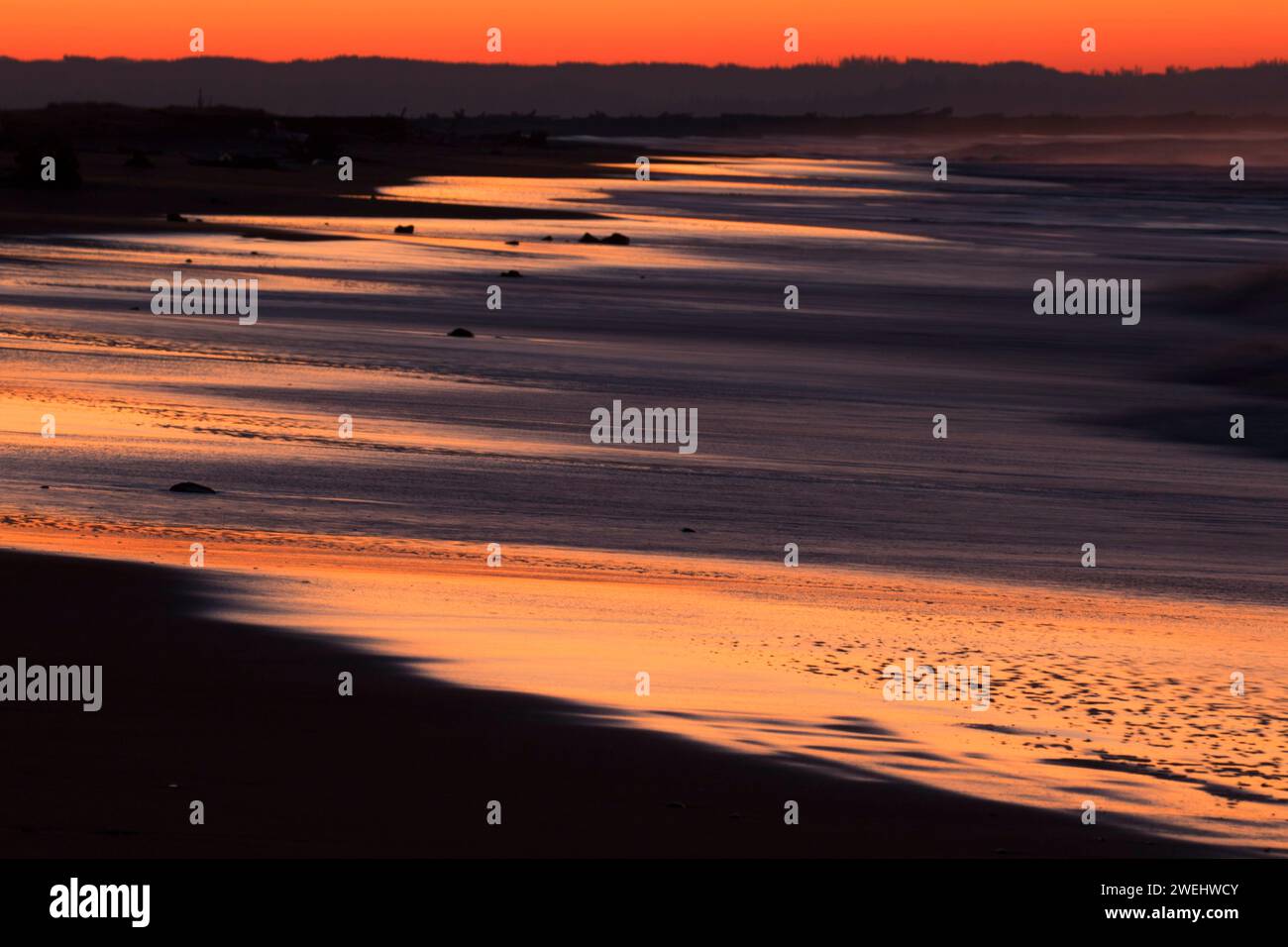 Beach sunrise, Damon Point State Park, Washington Stock Photo - Alamy