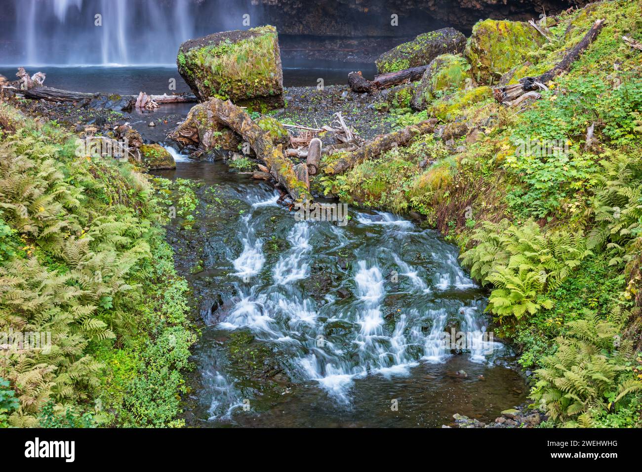 Gorge creek falls in hi-res stock photography and images - Alamy