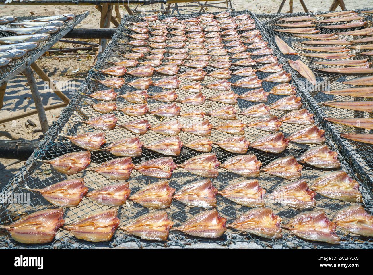 Sun-dried and deep-fried fish in a quaint fishing village brings to ...