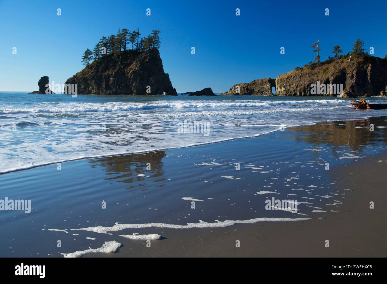 Second Beach, Olympic National Park, Washington Stock Photo - Alamy