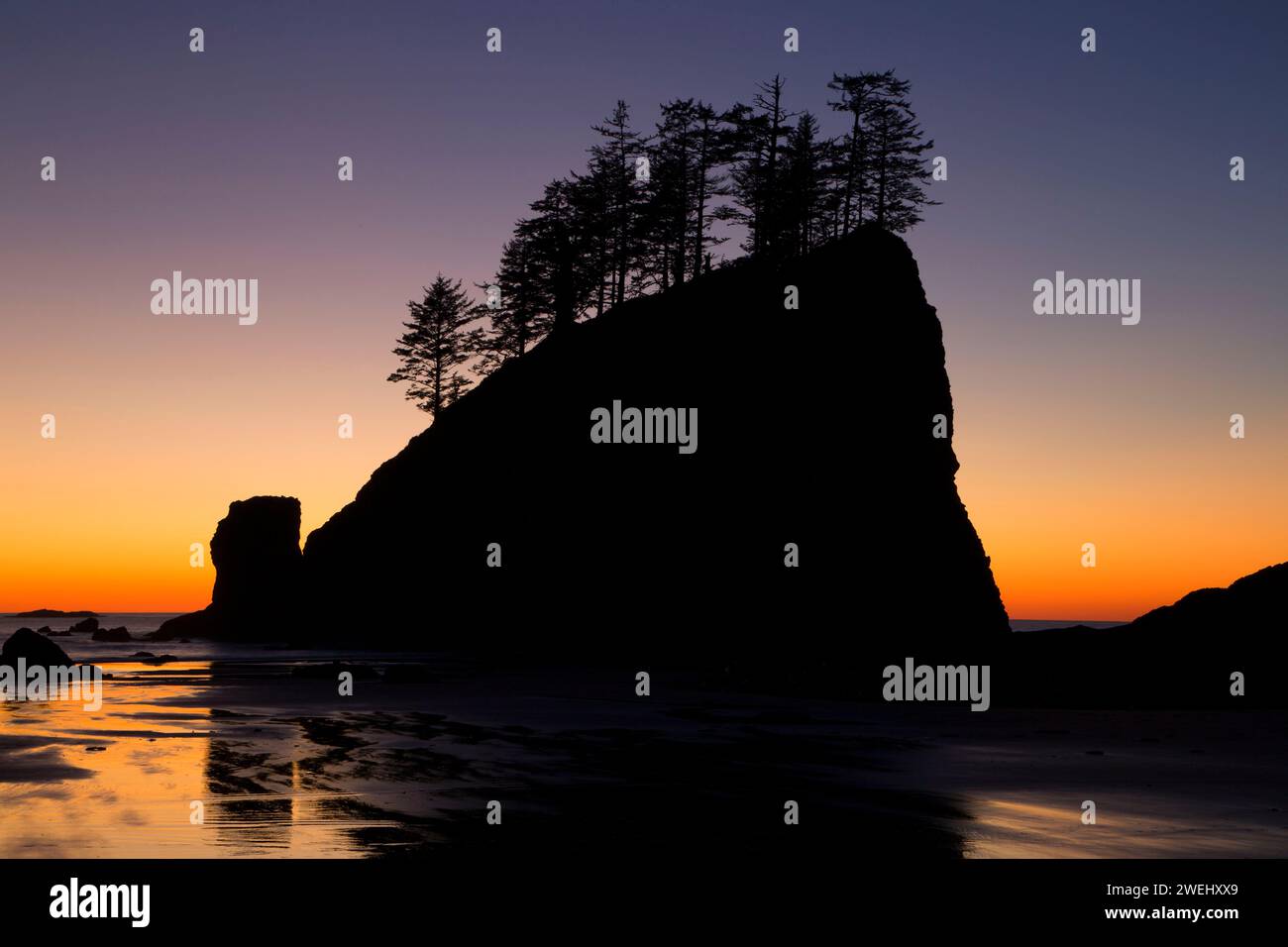 Second Beach sunset, Olympic National Park, Washington Stock Photo - Alamy