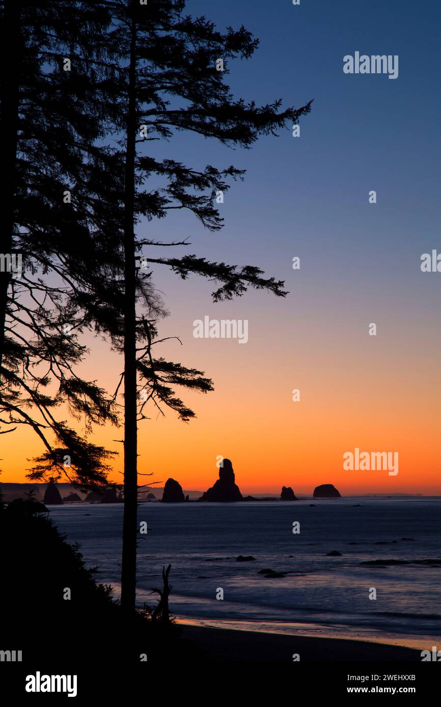 Third Beach sunrise, Olympic National Park, Washington Stock Photo - Alamy