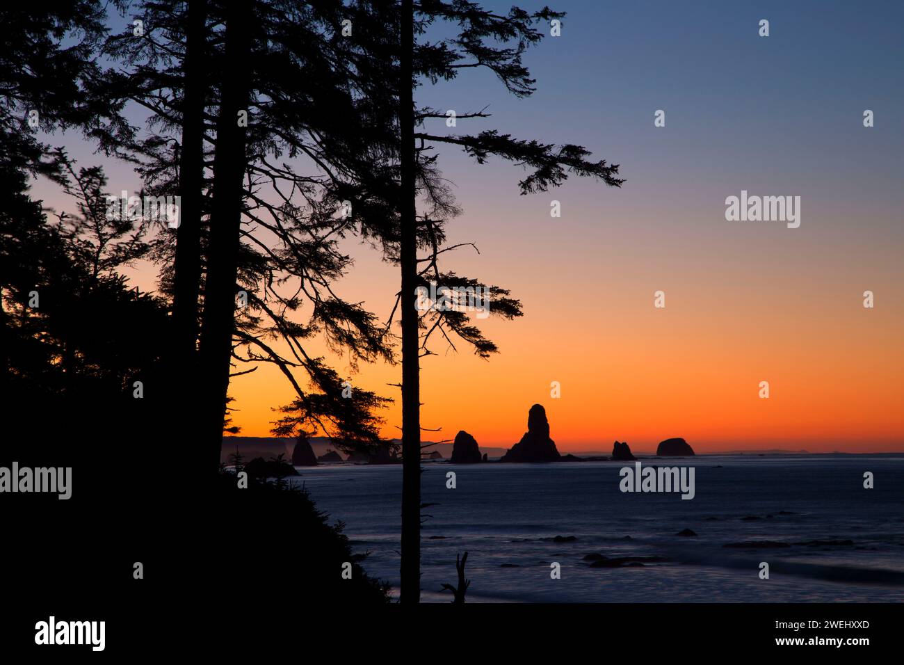 Third Beach sunrise, Olympic National Park, Washington Stock Photo - Alamy