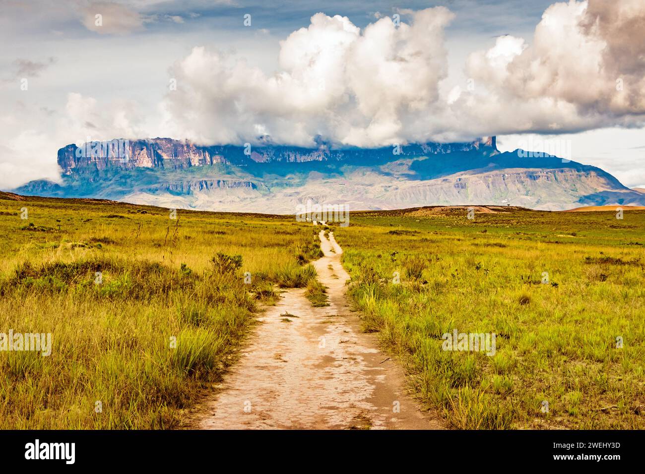 Dirt road leading to Mount Roraima, Venezuela, South America Stock ...
