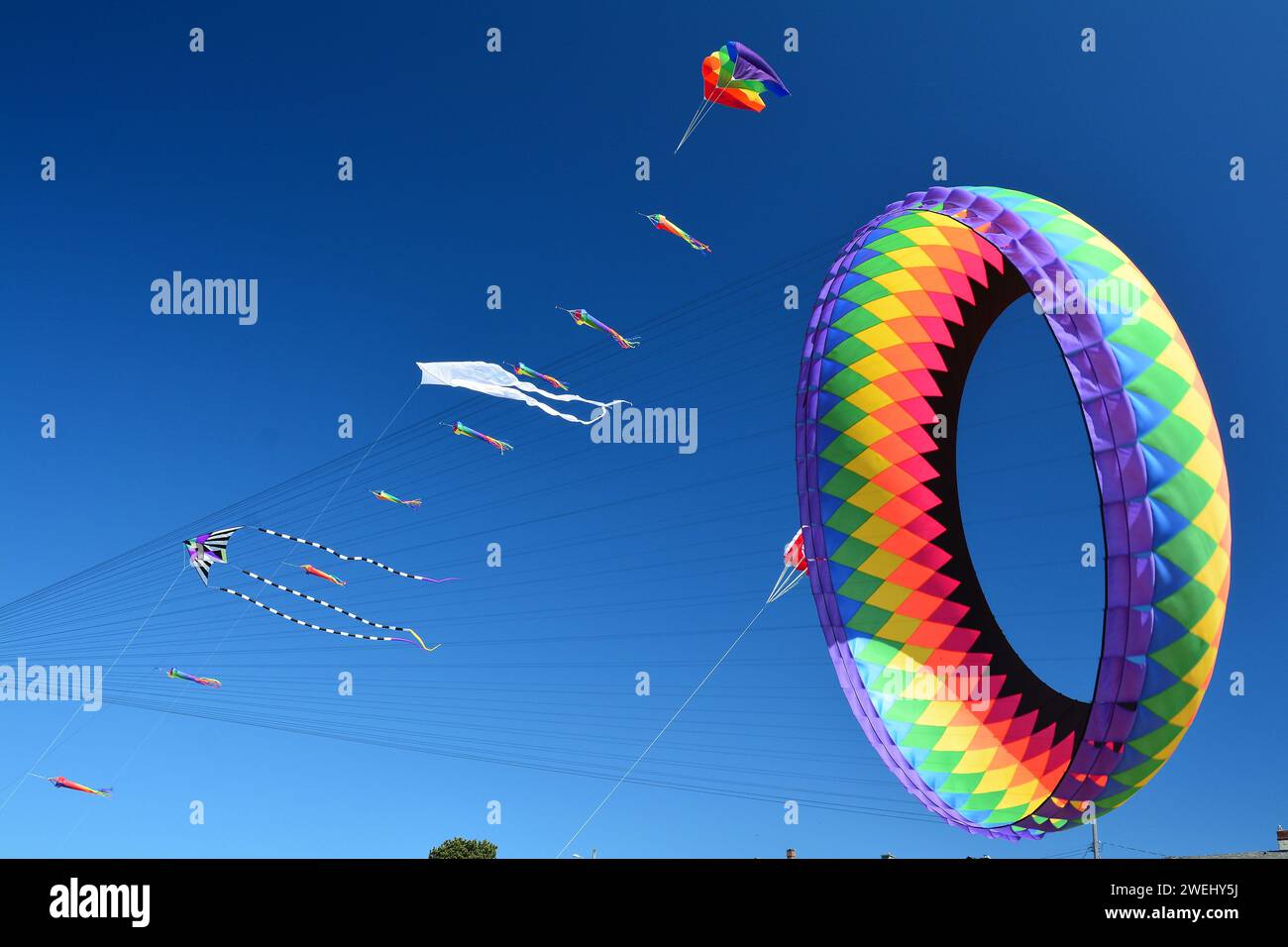 Kites in the air at clover point hi-res stock photography and images ...