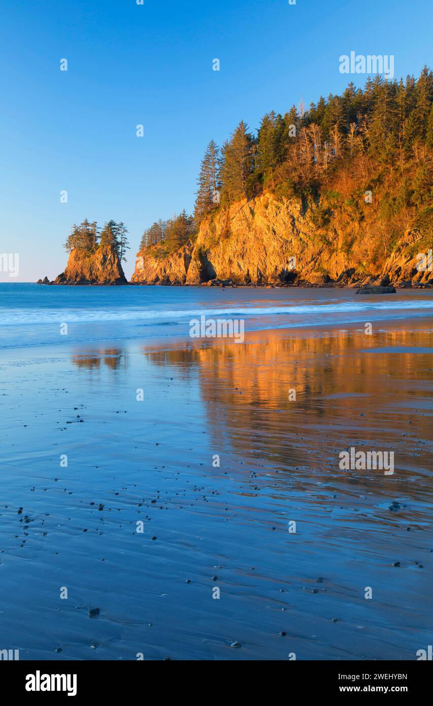 Third beach olympic national park hi-res stock photography and images ...