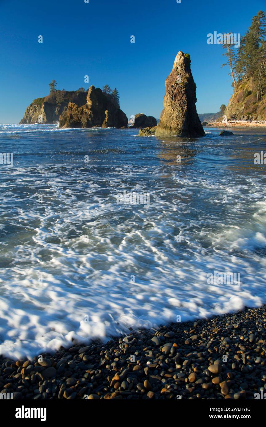 Needle Rock at Ruby Beach, Olympic National Park, Washington Stock ...