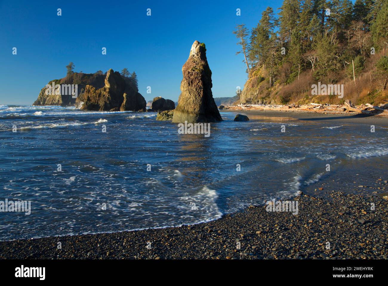 Needle Rock at Ruby Beach, Olympic National Park, Washington Stock ...