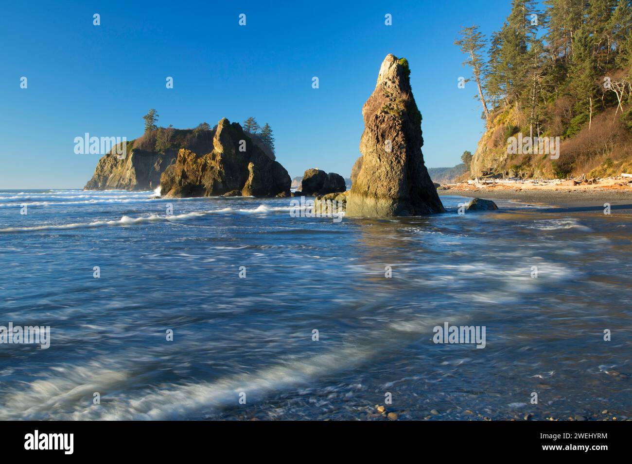 Needle Rock at Ruby Beach, Olympic National Park, Washington Stock ...