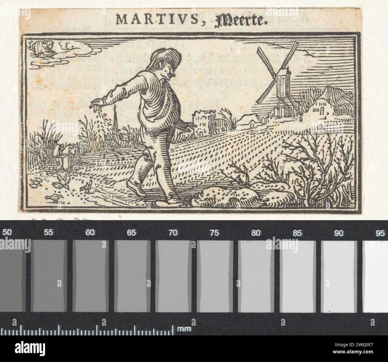 Man scatters seed hi-res stock photography and images - Alamy