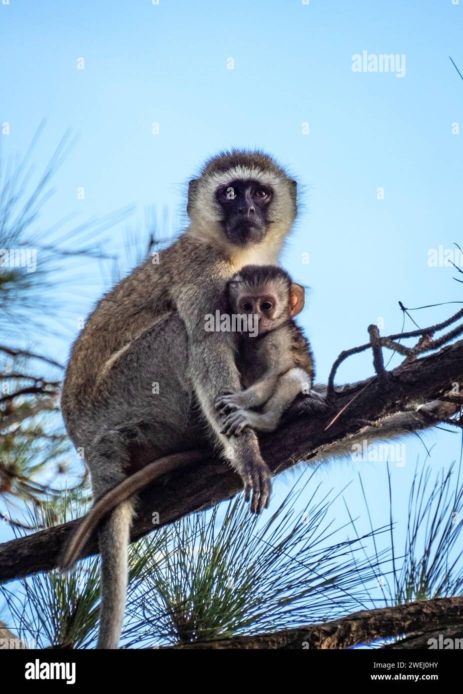 Mt kigali hi-res stock photography and images - Alamy