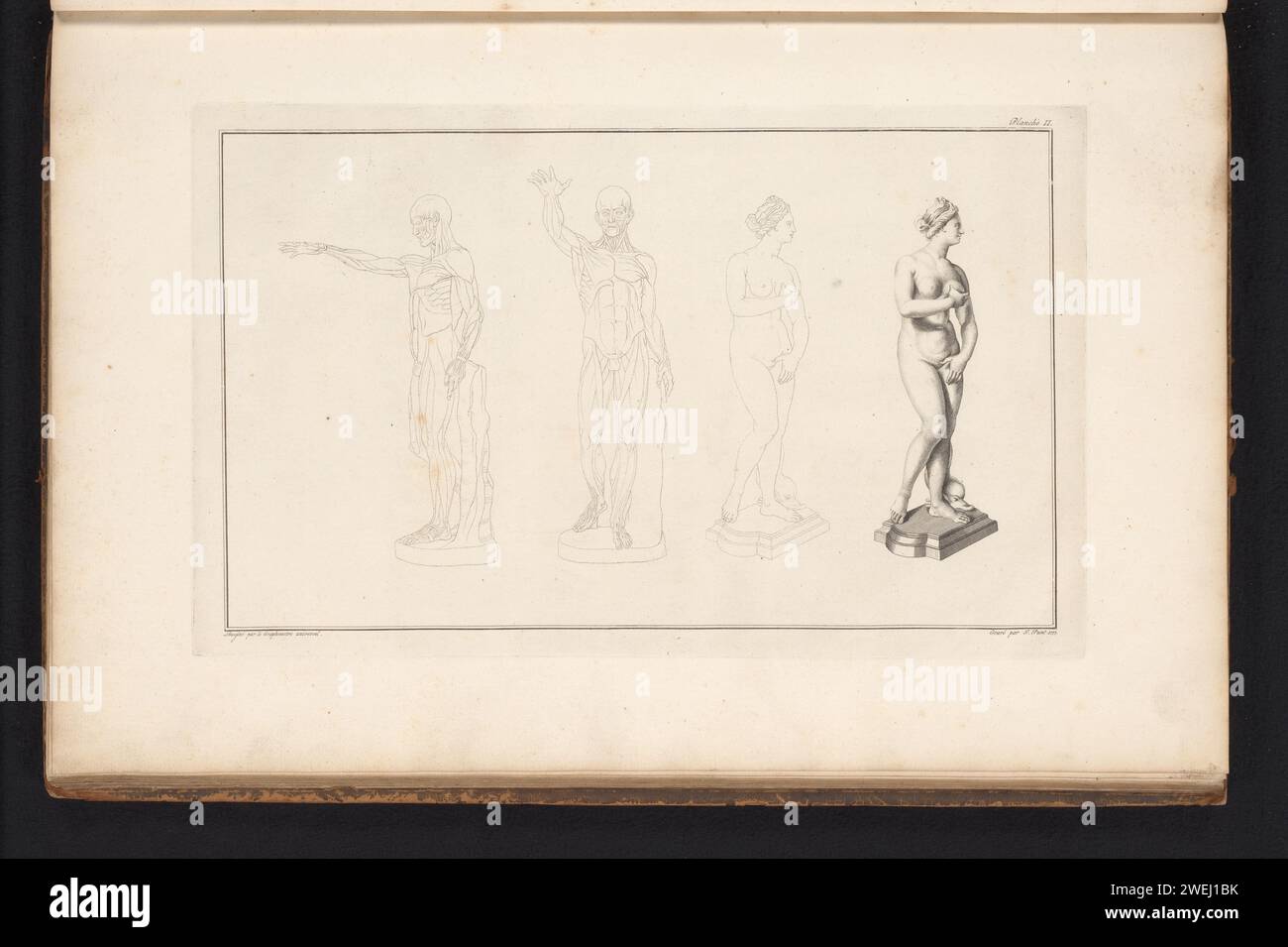 Anatomical image and a Greek Venus, Jan Punt, 1777 - 1778 print An ...