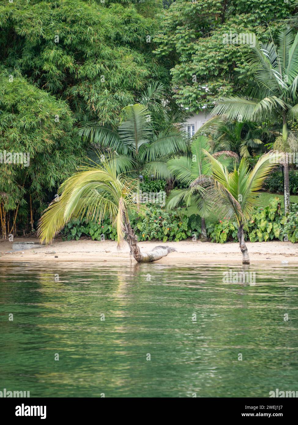 Gisenyi, a town on the north shore of Lake Kivu in Rwanda, East Africa ...