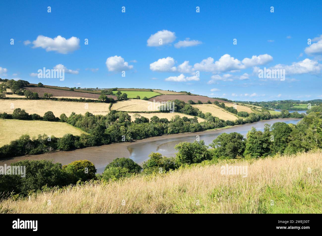 Sunny summer view of fields and countryside around Bow Creek, estuary ...