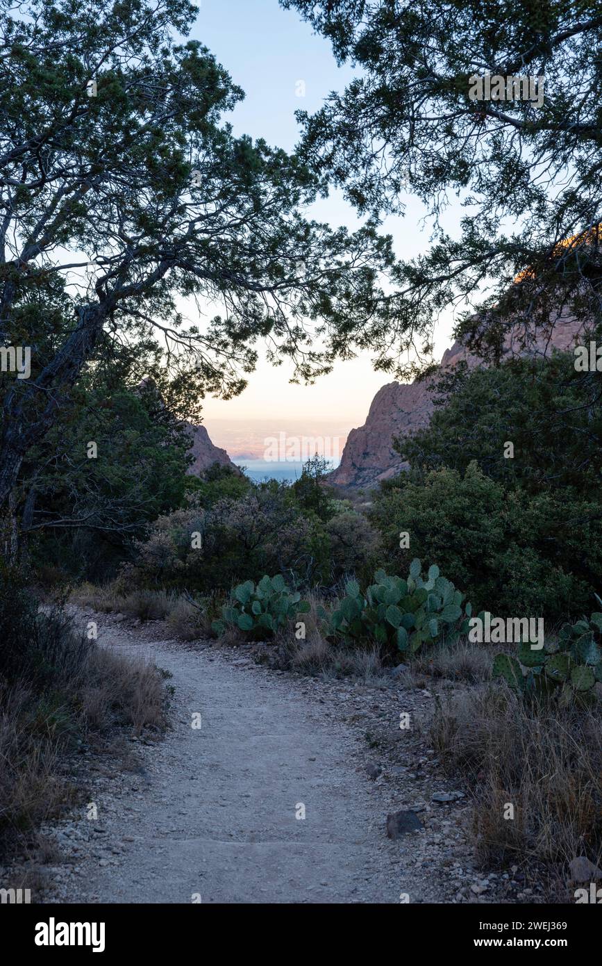 Laguna Meadow Trail, with a view of The Window, a gap in the Chisos ...