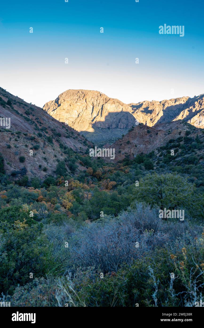 Photograph from the Laguna Meadow Trail, Chisos Mountains caldera. Big ...