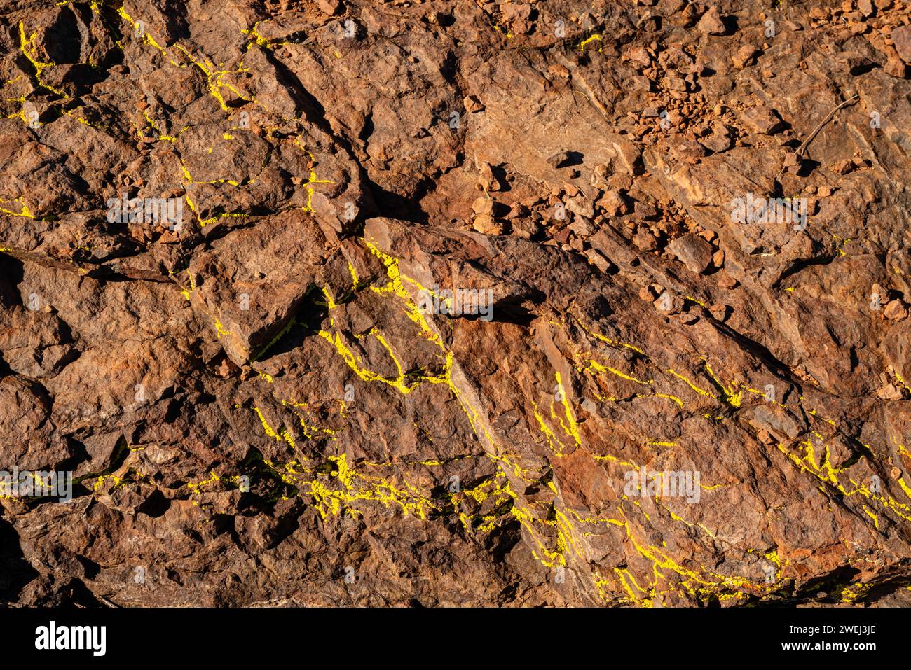Veins in the desert hi-res stock photography and images - Alamy