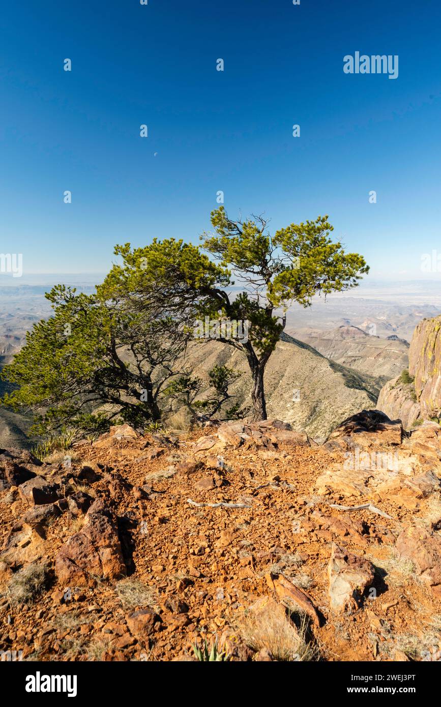 Photograph from the South Rim, Chisos Mountains. Big Bend National Park ...