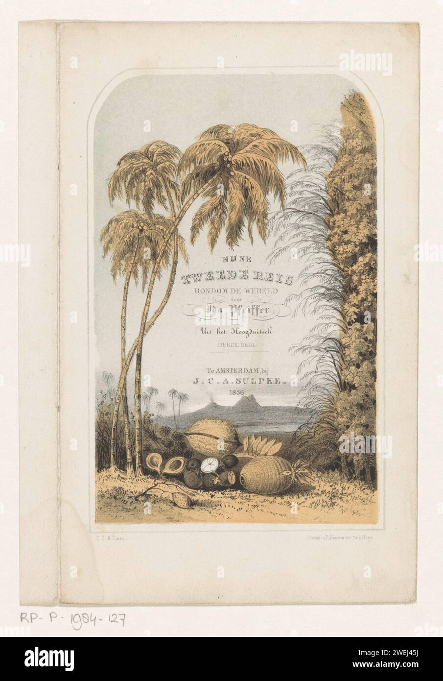 Tropical Landscape, 1856 print A tropical landscape with palm trees ...