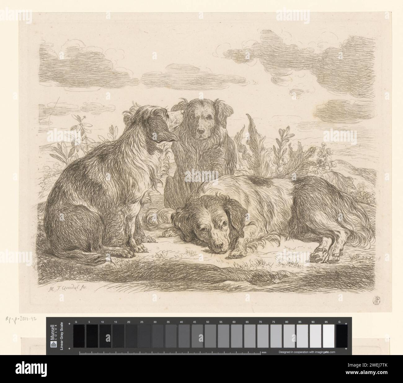 Three dogs, Martin Ferdinand Quadal, 1793 print paper etching dog Stock ...