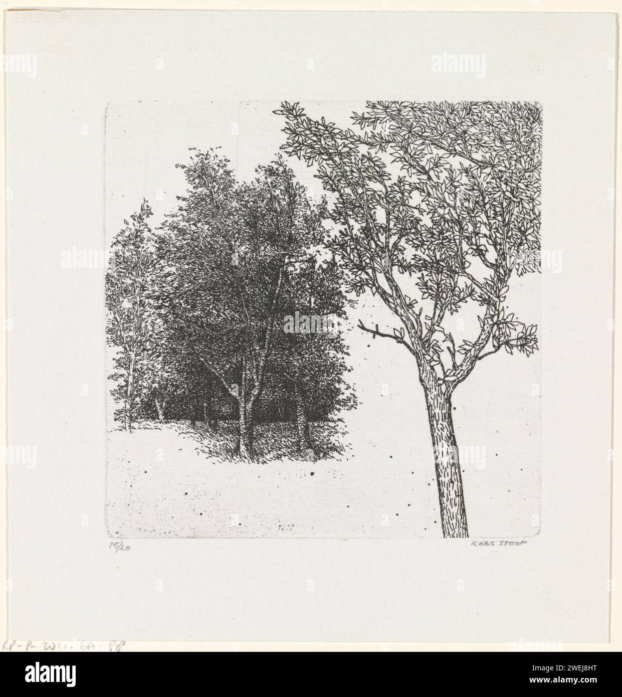 Trees, Kees Stoop, c. 1976 - c. 1977 print Group of trees on the left ...
