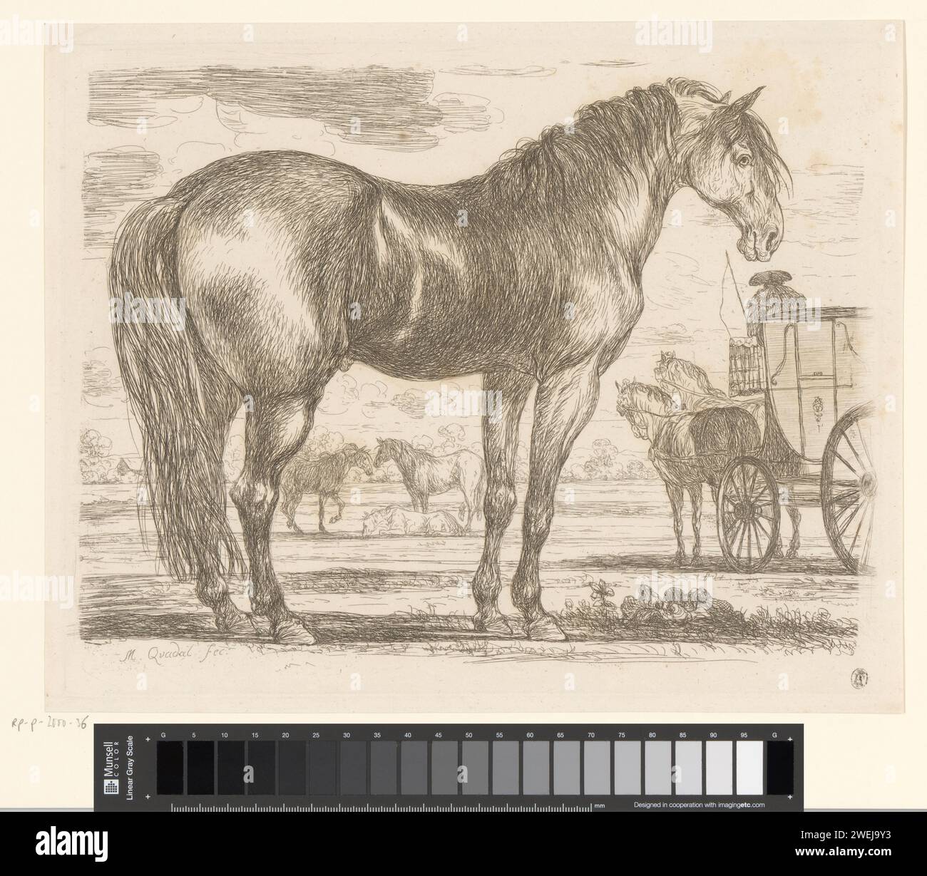 Horse, standing to the right, Martin Ferdinand Quadal, 1793 print paper ...
