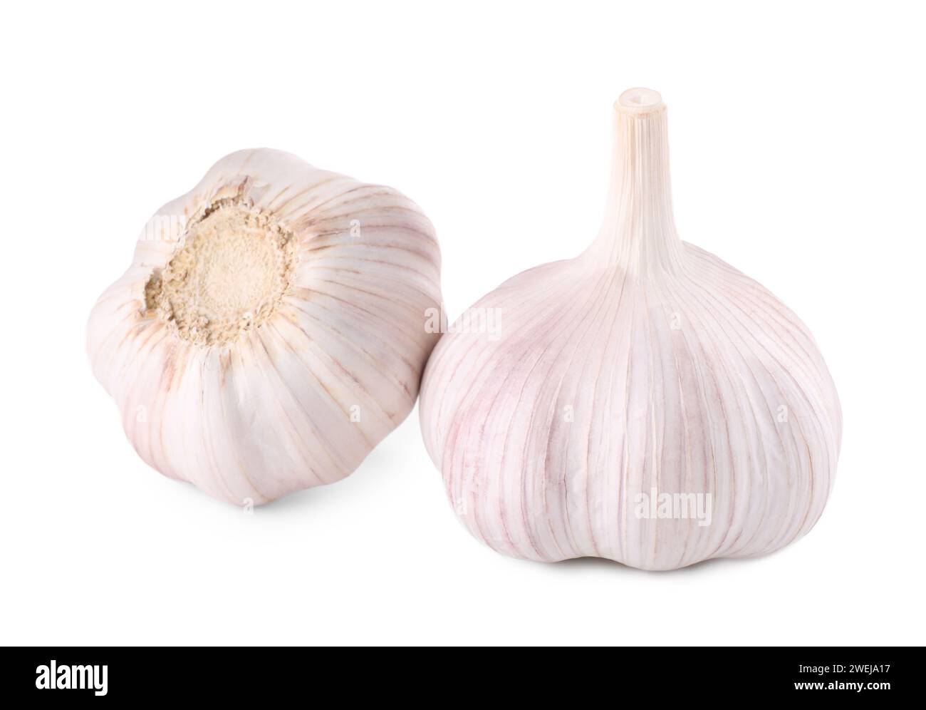 Heads fresh white garlic Cut Out Stock Images & Pictures - Alamy