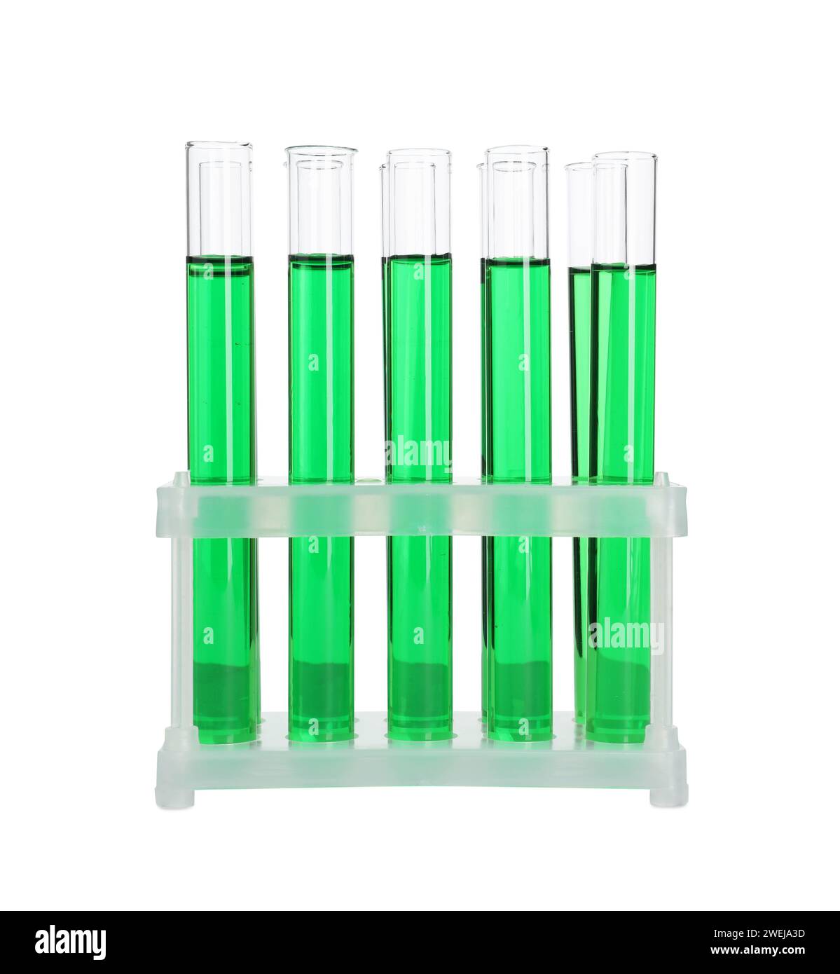 Many test tubes with green liquid in stand isolated on white Stock ...
