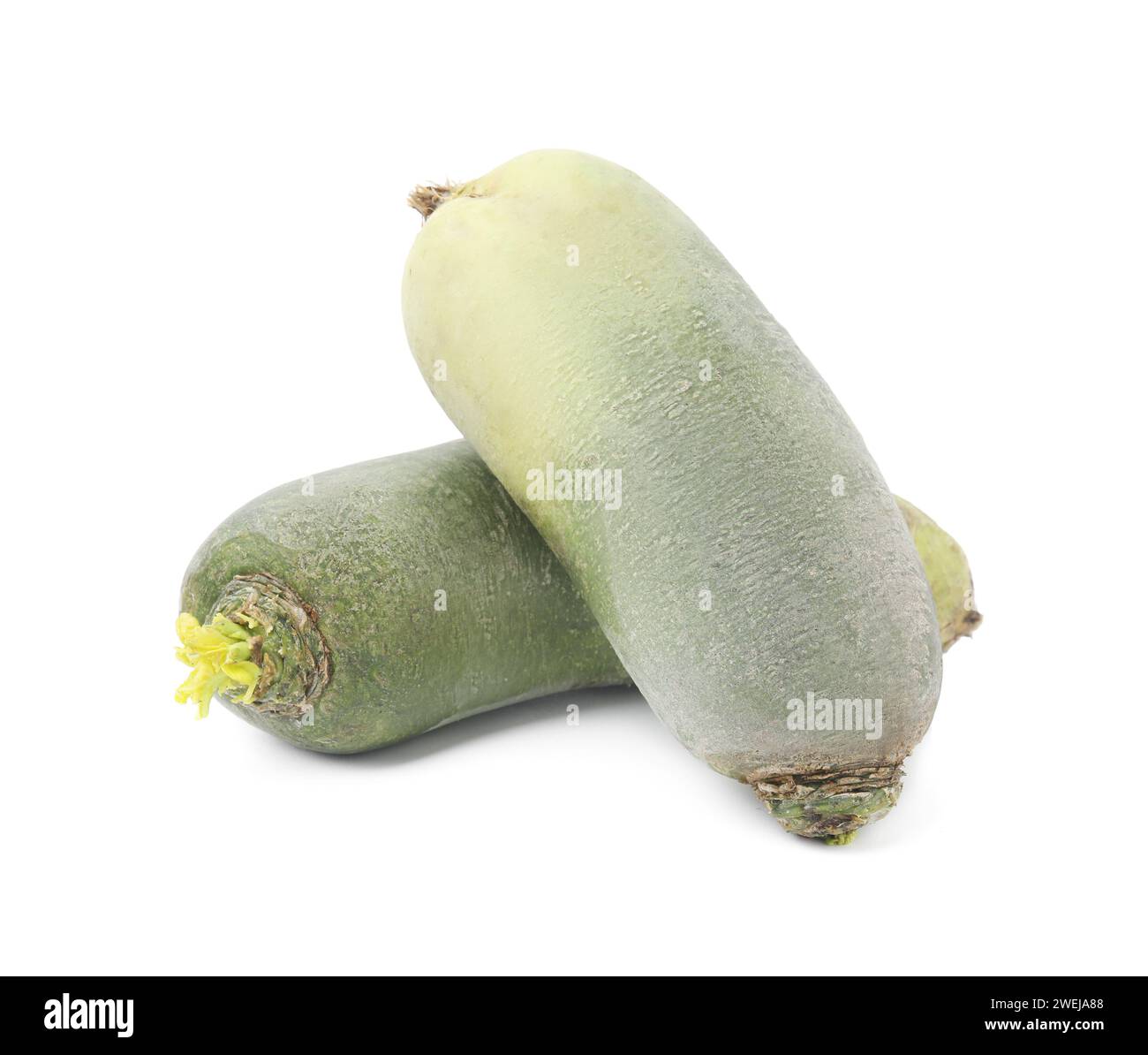 Ripe green daikon radishes isolated on white Stock Photo - Alamy