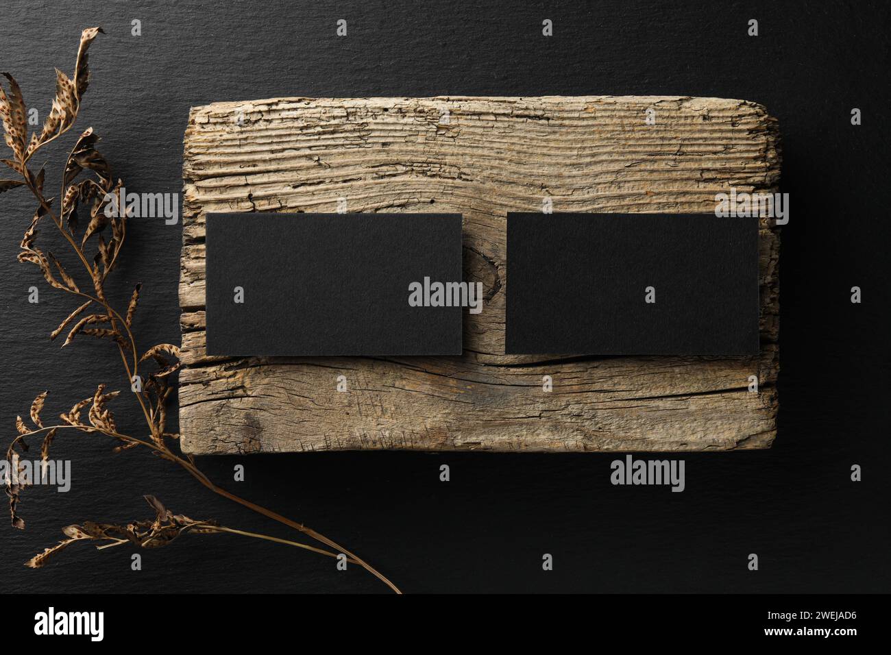 Empty business cards, piece of wood and dried plant on black background ...